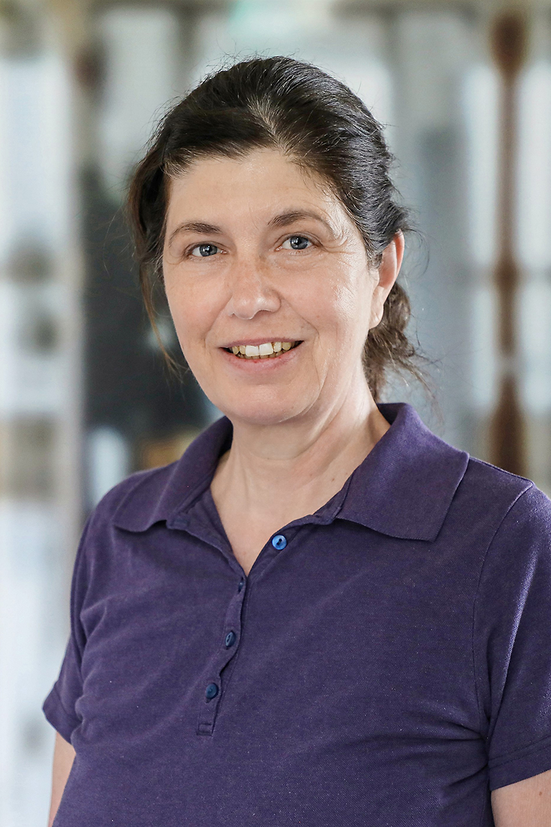 therapiezentrum am diak | Ergotherapie | Logopädie | Physiotherapie