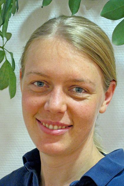 therapiezentrum am diak | Ergotherapie | Logopädie | Physiotherapie